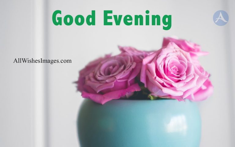 30+ Good Evening Image With Red Rose - Lovely Good Evening images (HD)