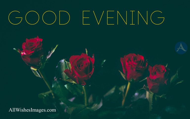 30+ Good Evening Image With Red Rose - Lovely Good Evening images (HD)