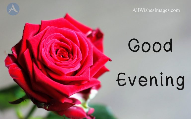 30+ Good Evening Image With Red Rose - Lovely Good Evening images (HD)